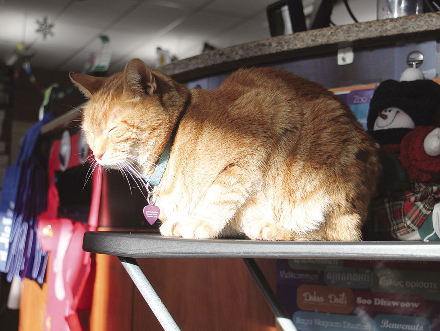 An afternoon at Newport Library